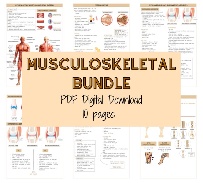 Musculoskeletal Bundle Musculoskeletal Disorders Med Surg - Etsy
