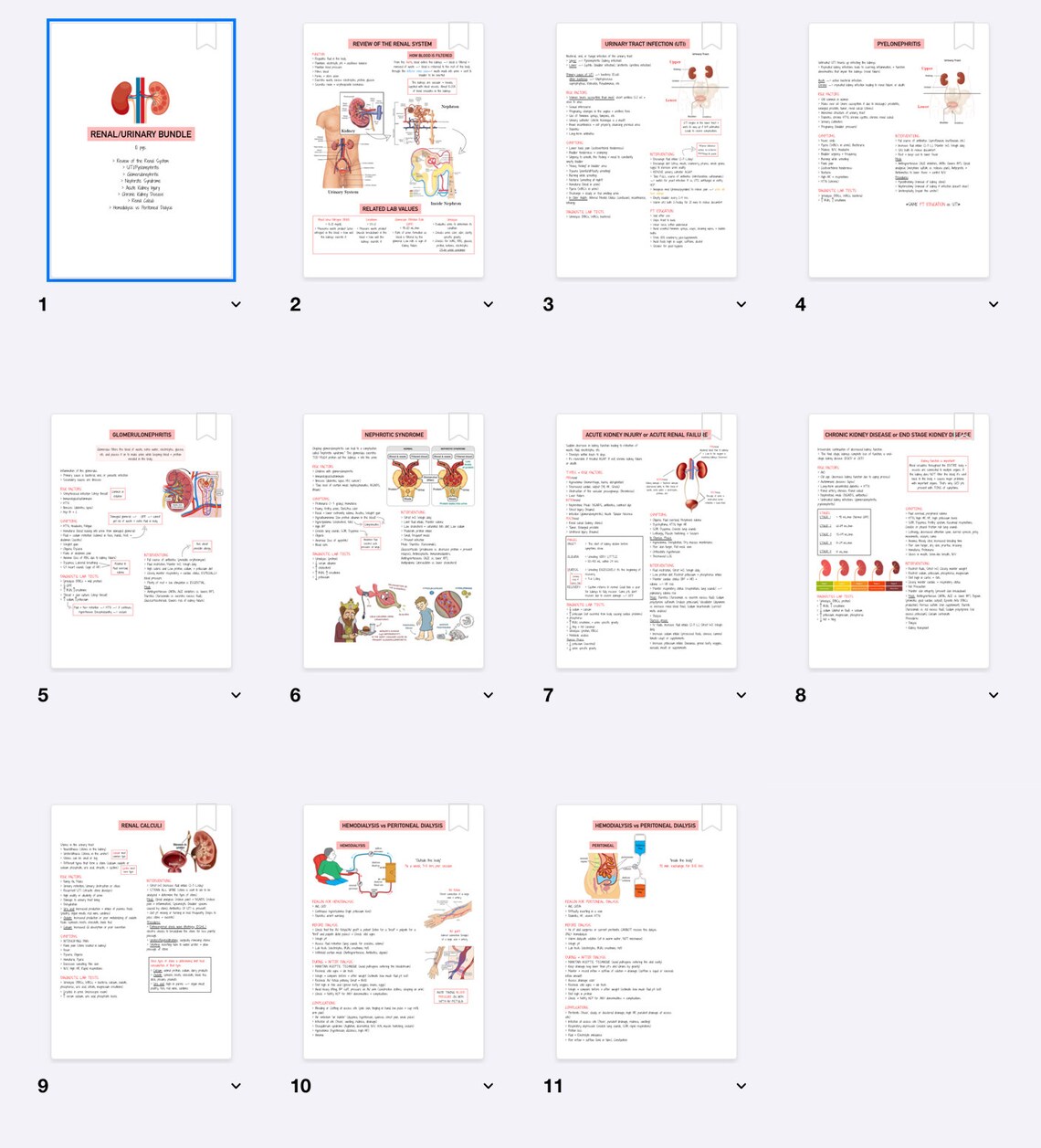 Renal/urinary System & Diseases Nursing Study Guides Nursing - Etsy