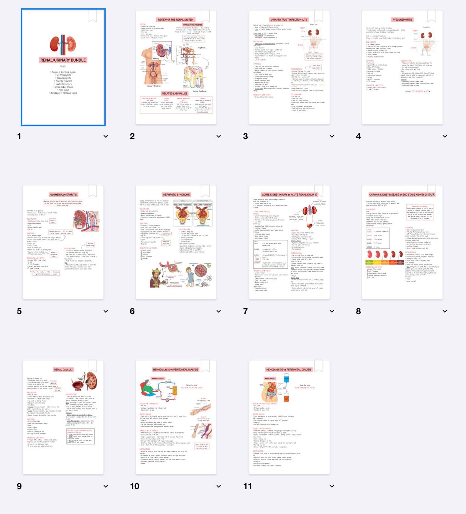 Renal/urinary System & Diseases Nursing Study Guides Nursing - Etsy