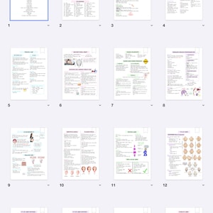 Ob/maternity Nursing Bundle Nursing Notes Digital Download - Etsy