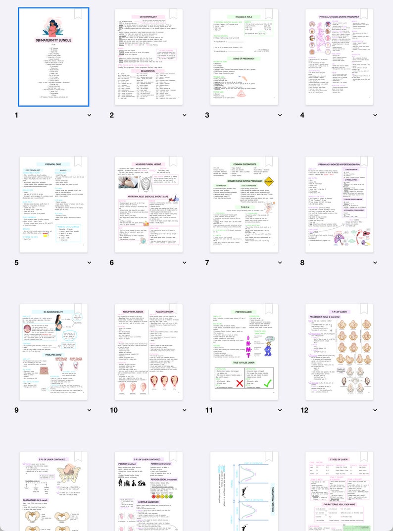 Ob/maternity Nursing Bundle Nursing Notes Digital Download - Etsy