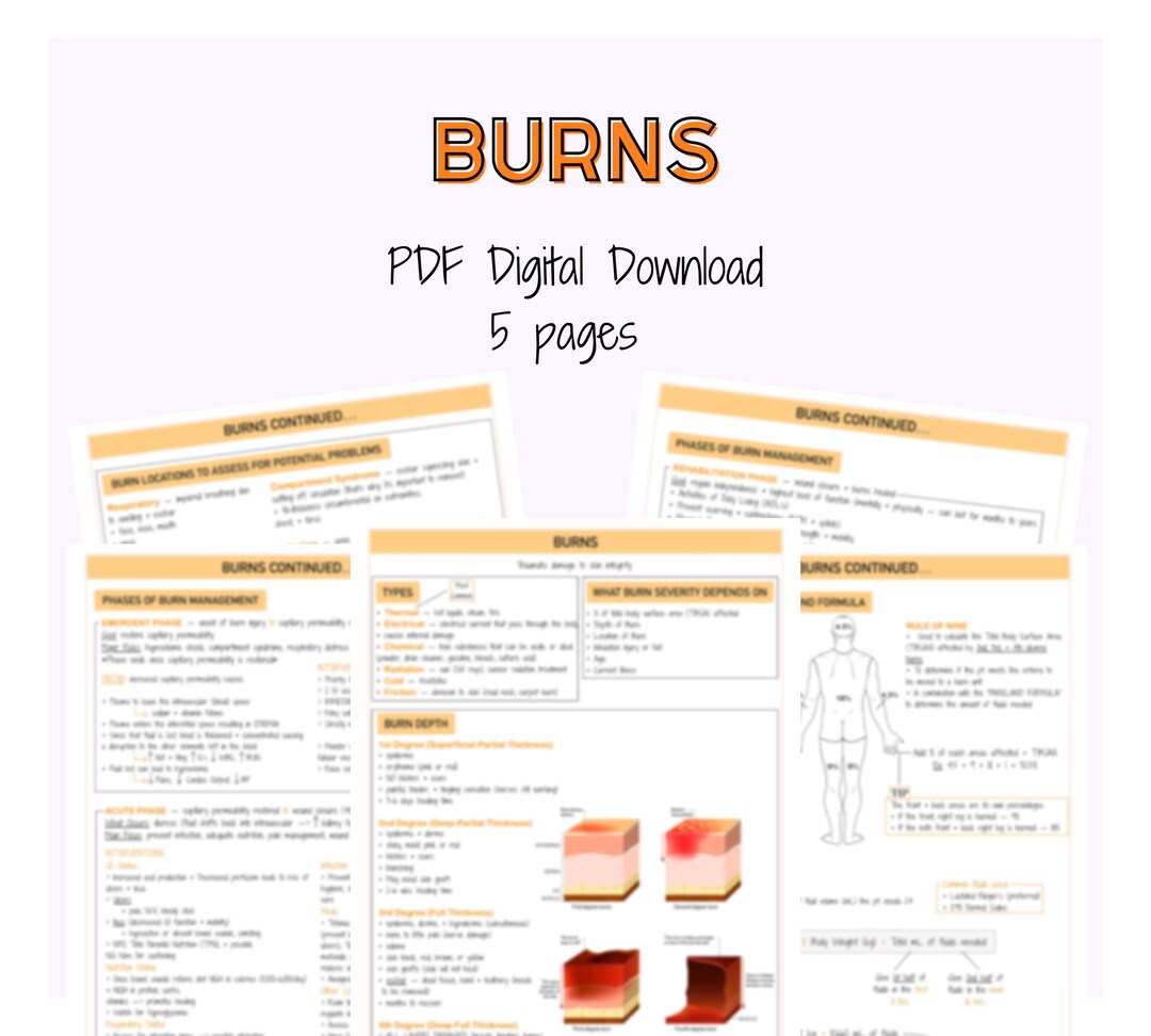 Burns Nursing Notes, Integumentary System, Burn Notes, Nursing Study ...