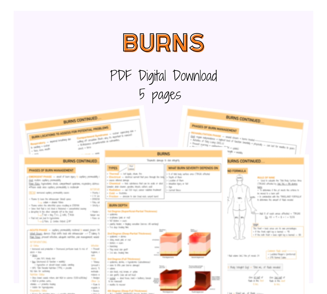 Burns Nursing Notes, Integumentary System, Burn Notes, Nursing Study ...