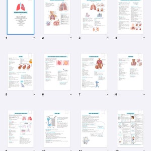 Respiratory System and Disease Med Surg Med Surg Nursing - Etsy