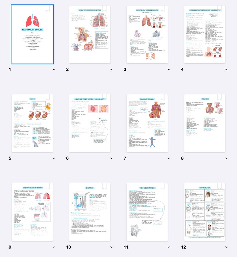 Respiratory System and Disease Med Surg Med Surg Nursing - Etsy