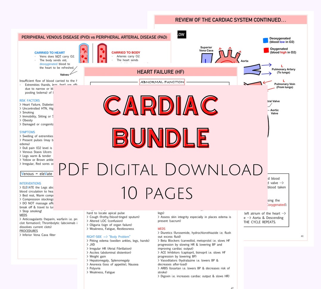 Cardiac Bundle Notes, Nursing Study Guide, Med Surg Notes, Medical ...