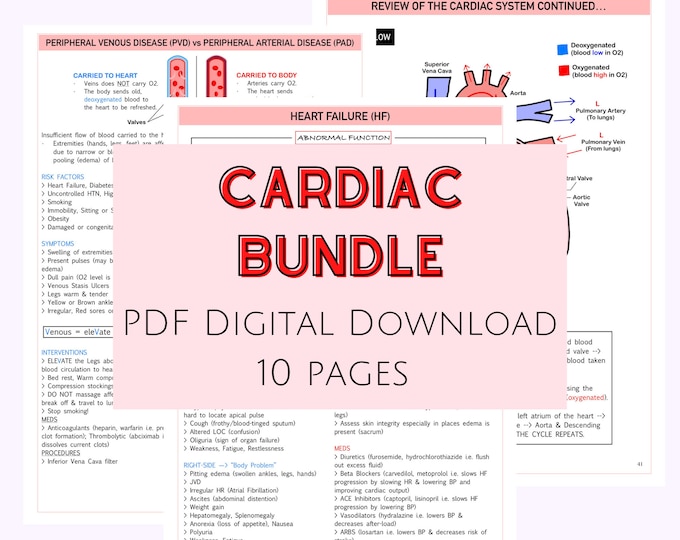 Renal/urinary System & Diseases, Nursing Study Guides, Nursing Notes ...