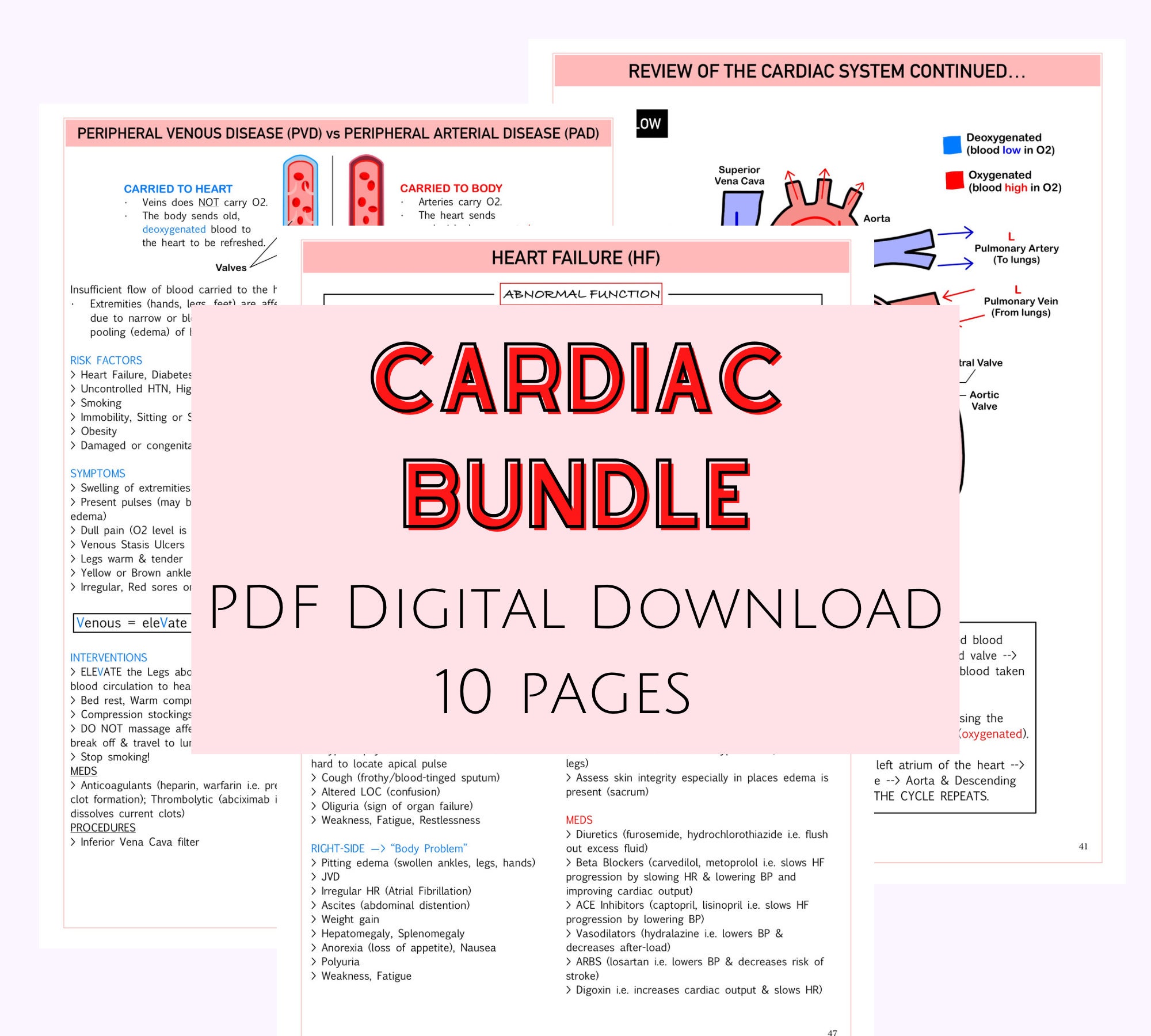 Cardiac Bundle Notes, Nursing Study Guide, Med Surg Notes, Medical ...