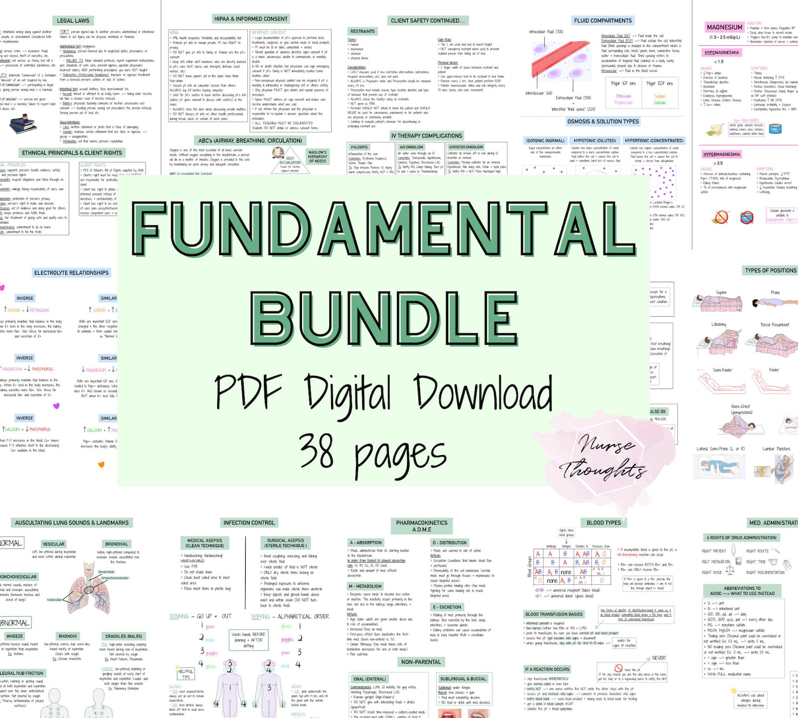 Fundamental of Nursing Fundamental Bundle Notes Nursing - Etsy
