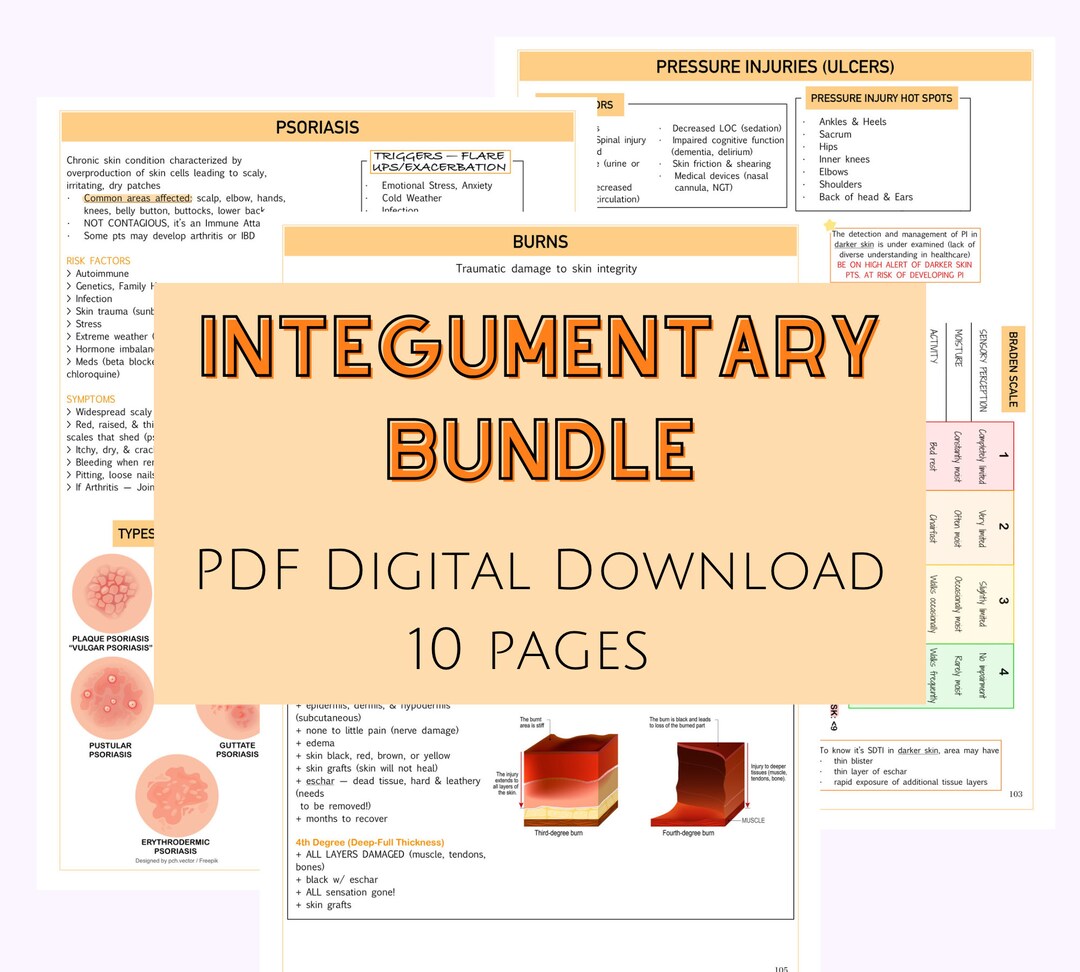 Integumentary Bundle, Skin Disorders, Burn Notes, Med Surg Bundle ...