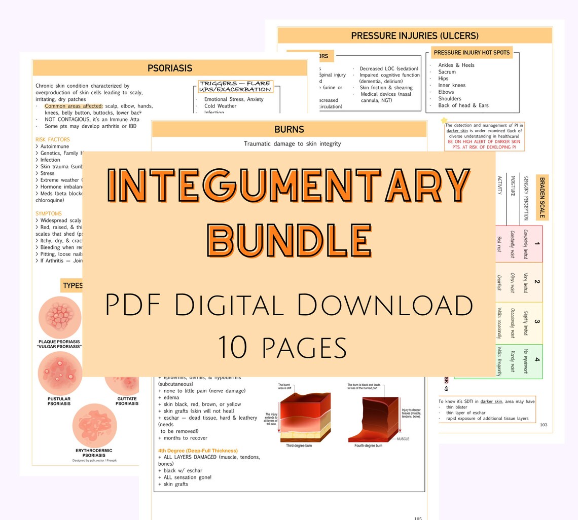 Integumentary Bundle, Skin Disorders, Burn Notes, Med Surg Bundle ...