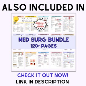 Endocrine System & Diseases, Endocrine Bundle, Nursing Study Guides ...