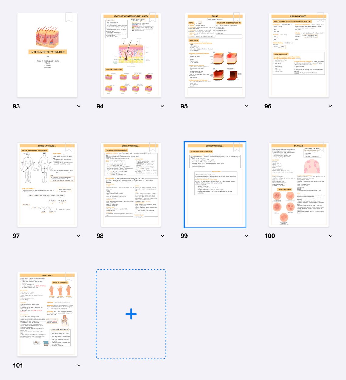 Integumentary Bundle Skin Disorders Burn Notes Med Surg - Etsy