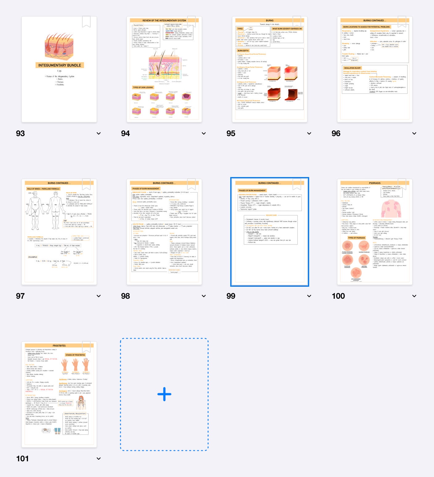 Integumentary Bundle Skin Disorders Burn Notes Med Surg - Etsy