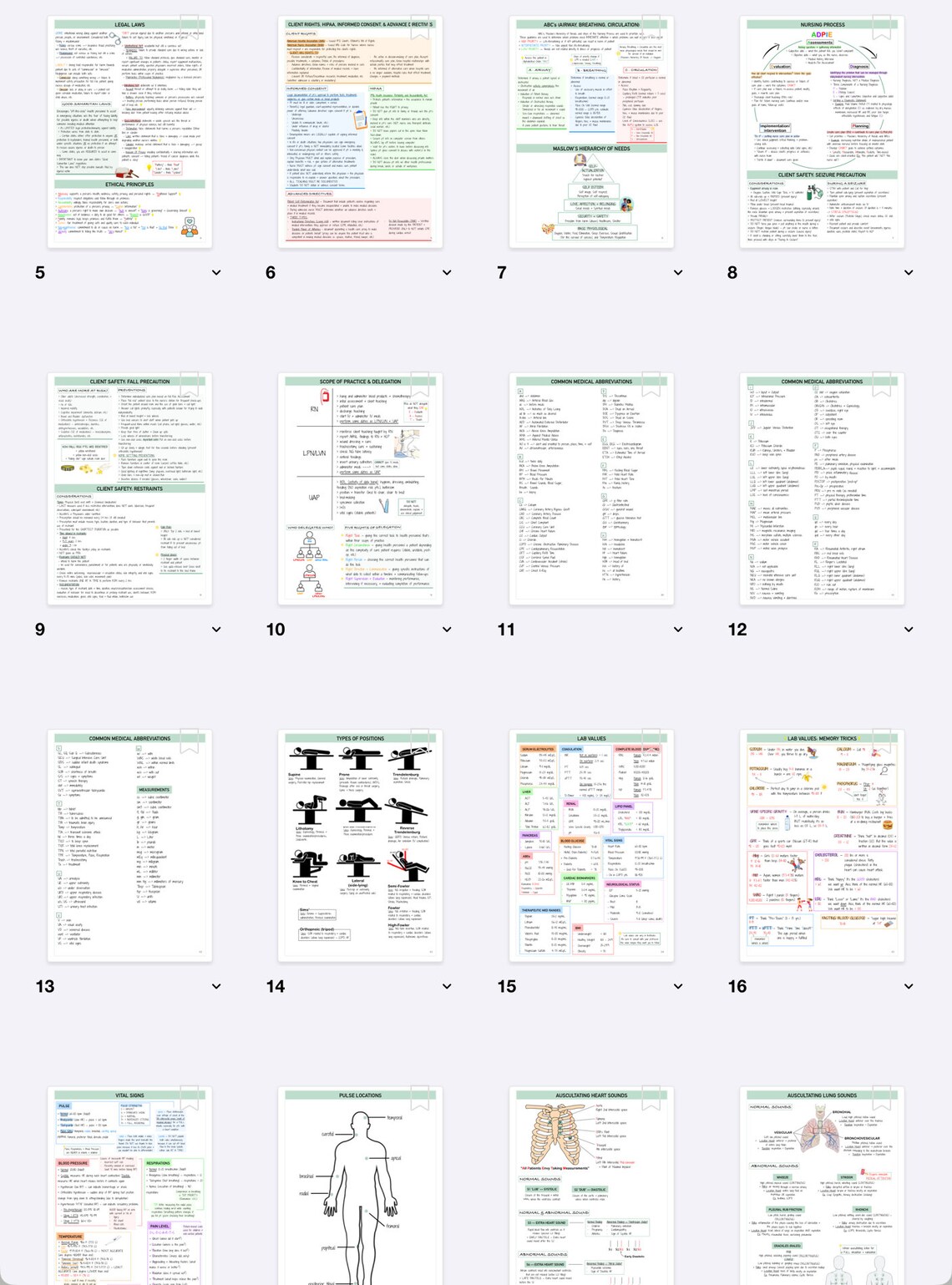 Fundamental of Nursing Fundamental Bundle Notes Nursing - Etsy