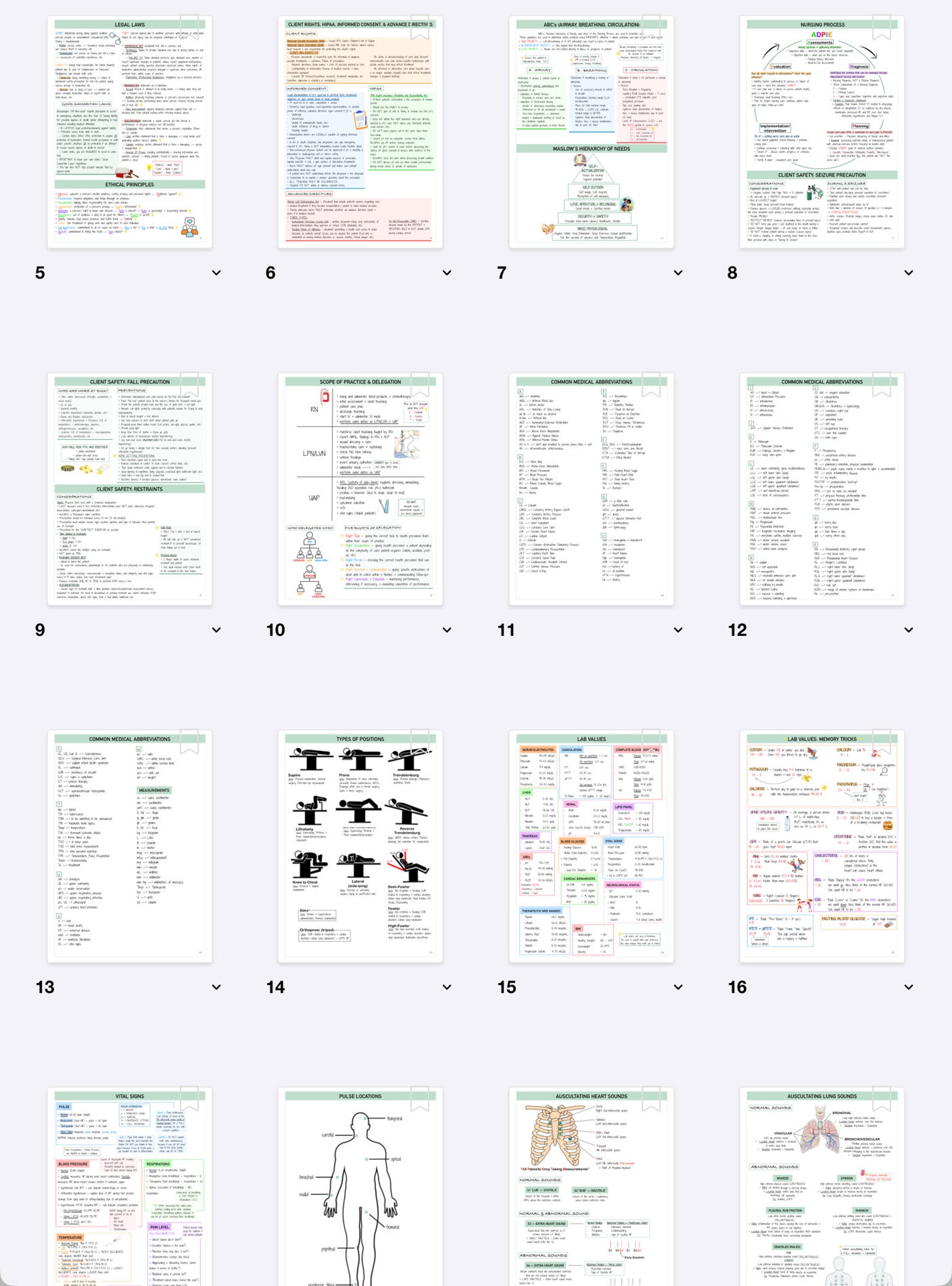 Fundamental of Nursing Fundamental Bundle Notes Nursing - Etsy