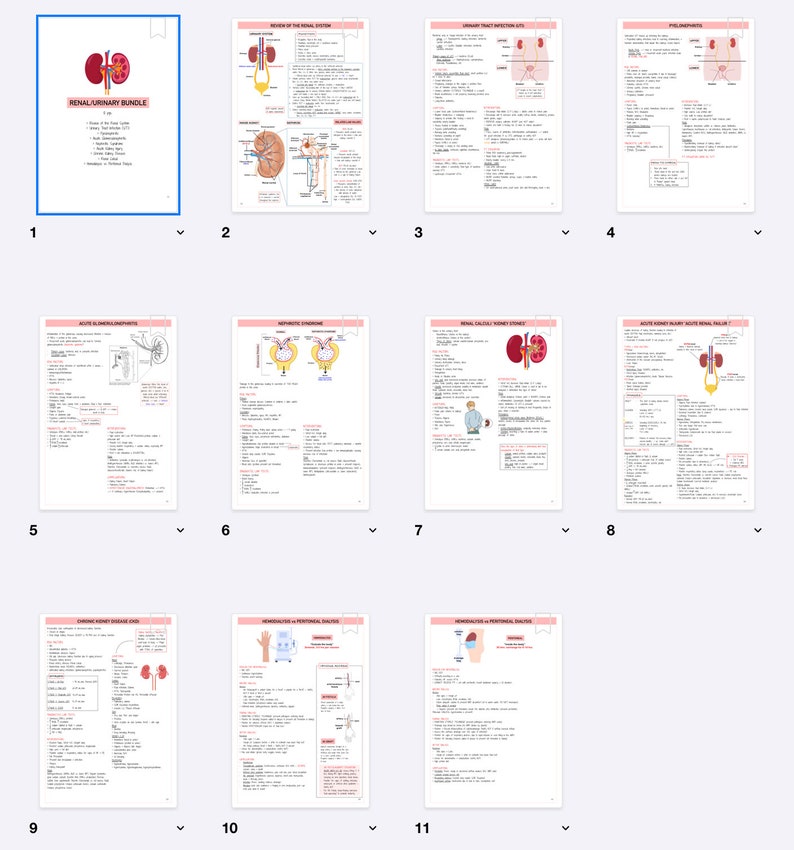 Renal/urinary System & Diseases Nursing Study Guides Nursing - Etsy