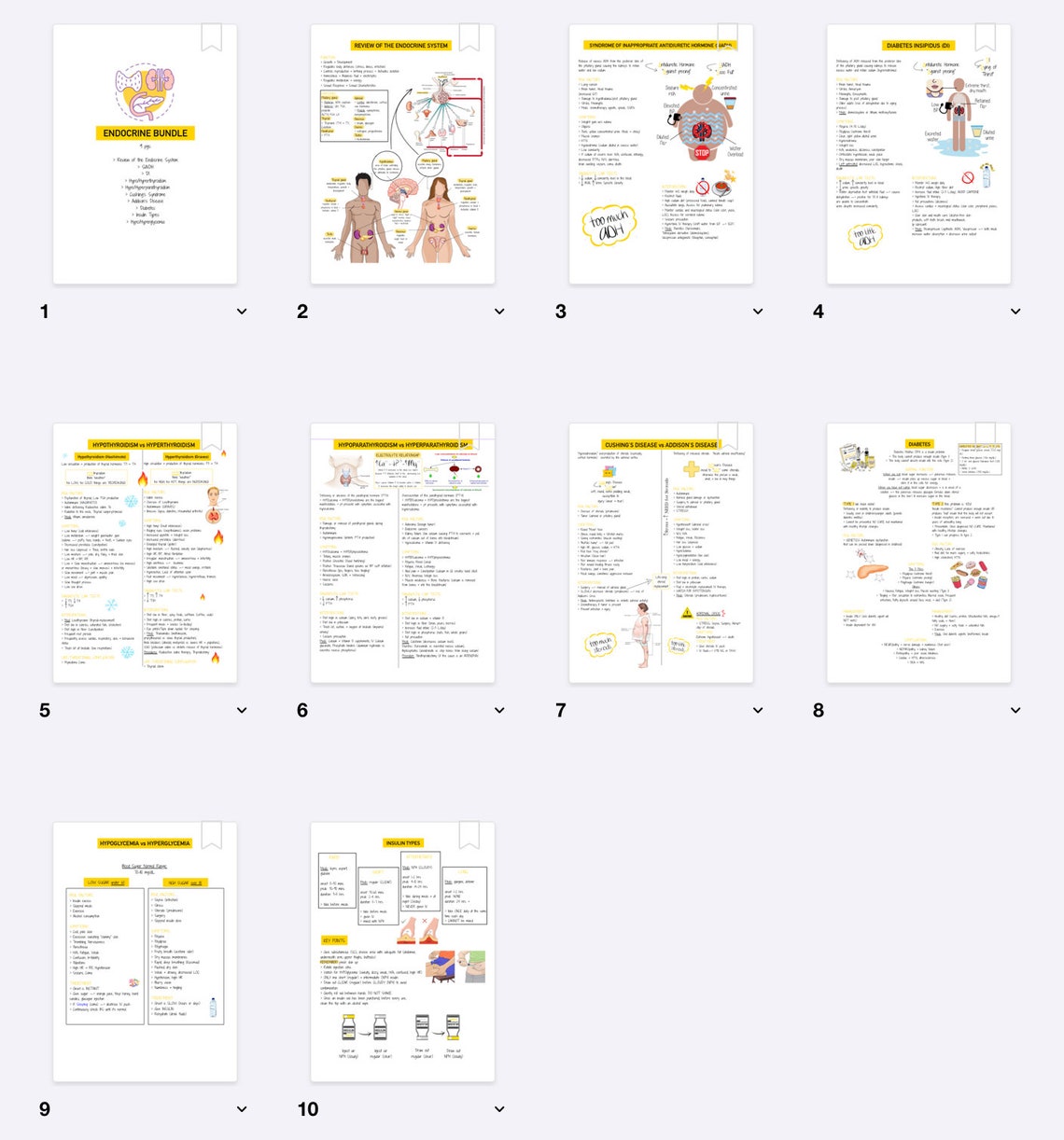 Endocrine System & Diseases Endocrine Bundle Nursing Study - Etsy