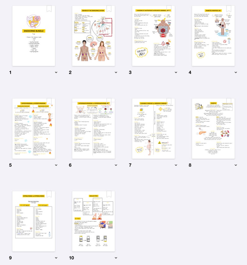 Endocrine System & Diseases Endocrine Bundle Nursing Study - Etsy
