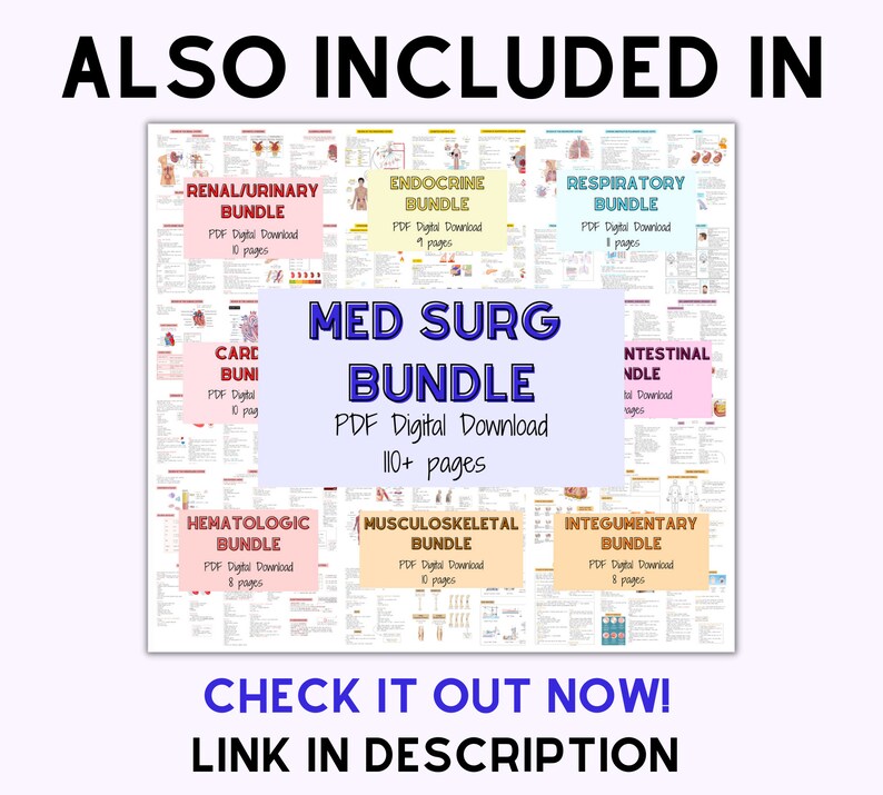 Neurological Bundle Neuro Bundle Notes Med Surg Notes - Etsy