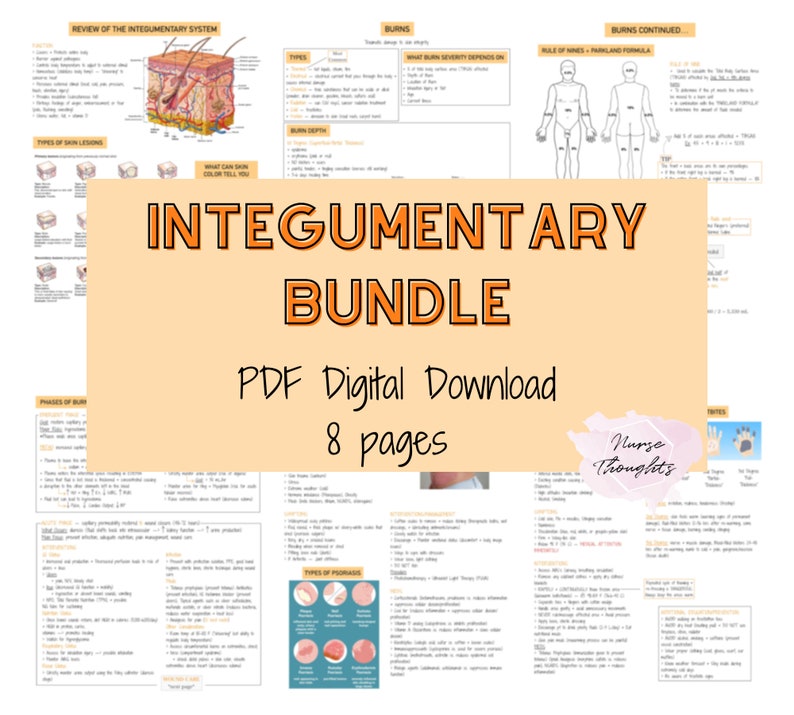 Integumentary Bundle Skin Disorders Burn Notes Med Surg - Etsy