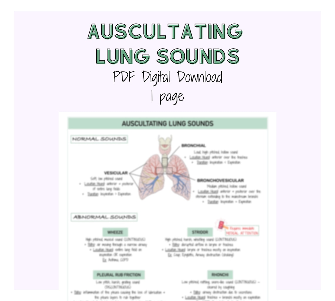 Auscultating Lung Sounds Nursing Notes Clinical Notes - Etsy