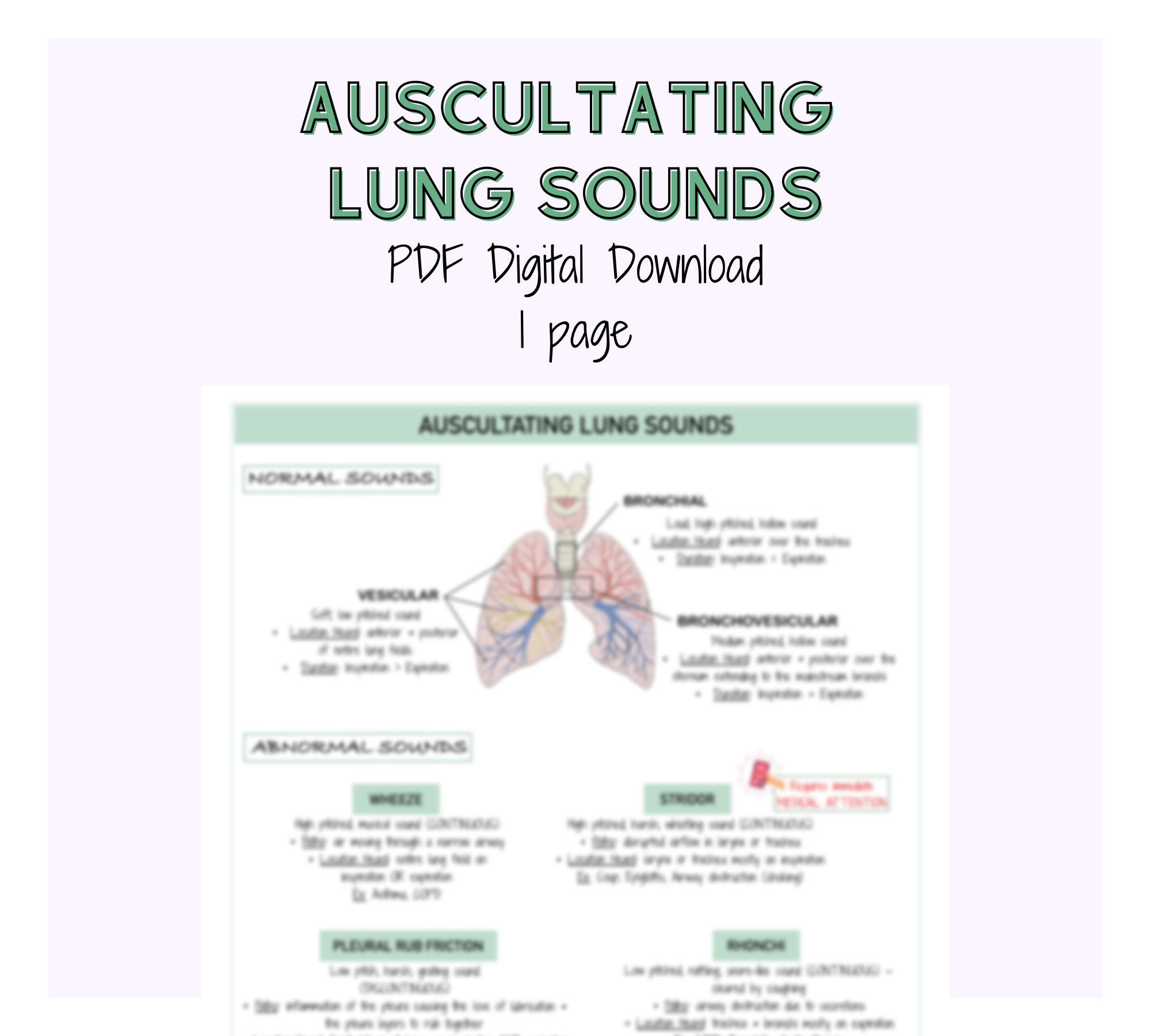 Where To Auscultate Lung Sounds