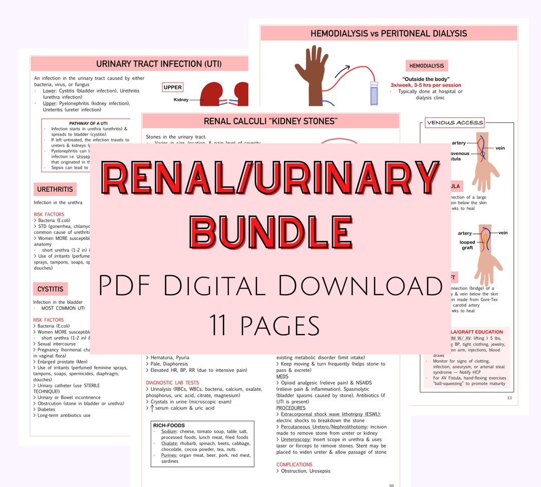 Renal/urinary System & Diseases, Nursing Study Guides, Nursing Notes ...