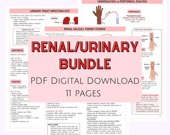 Endocrine System & Diseases, Endocrine Bundle, Nursing Study Guides ...