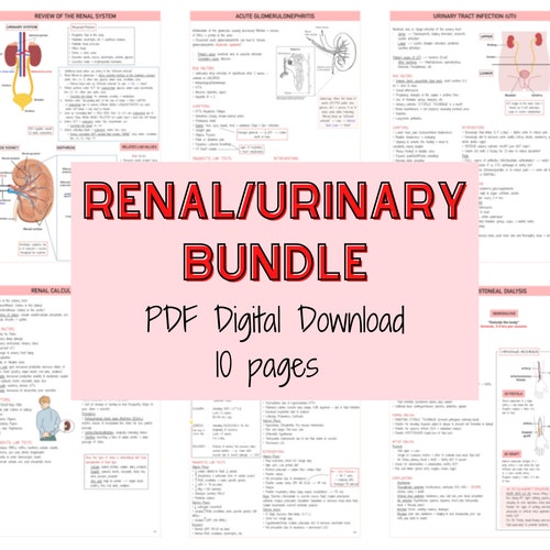 Renal/urinary System & Diseases Nursing Study Guides Nursing - Etsy