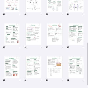 Fundamental of Nursing Fundamental Bundle Notes Nursing - Etsy