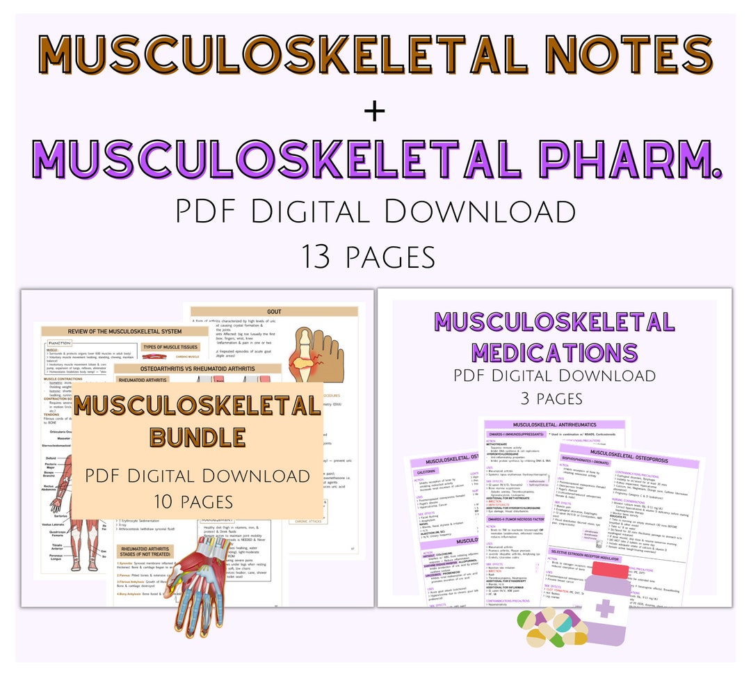 Musculoskeletal Notes, Med Surg Bundle, Pharmacology Notes, Nursing ...