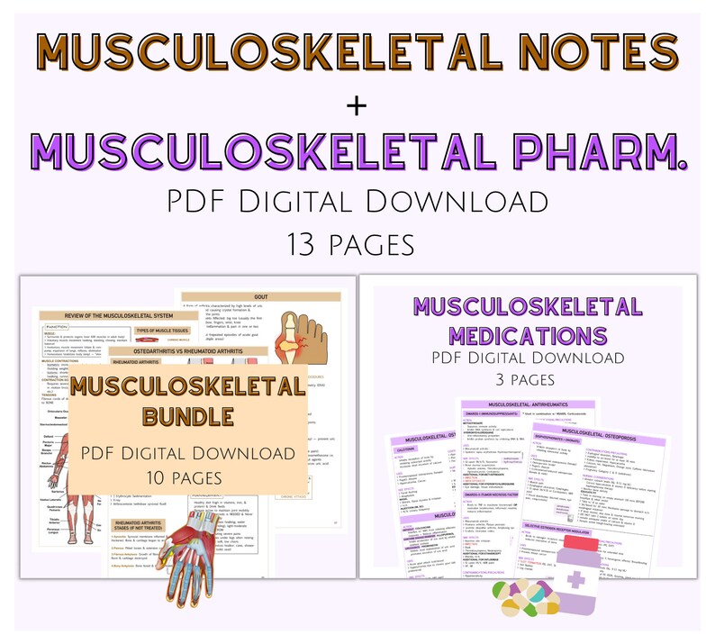 Musculoskeletal Notes, Med Surg Bundle, Pharmacology Notes, Nursing ...