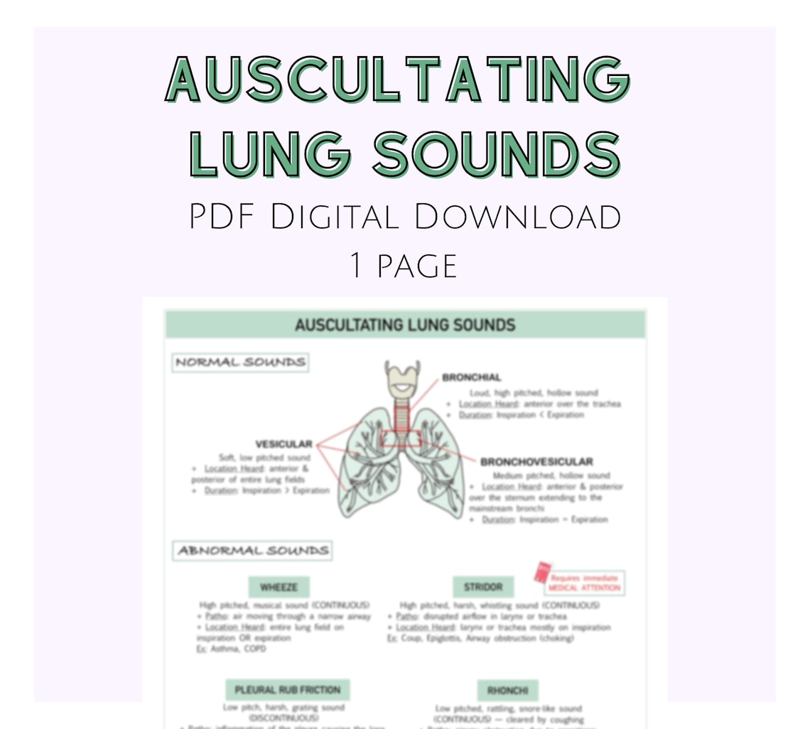 Auscultating Lung Sounds, Nursing Notes, Clinical Notes, Nursing Study ...