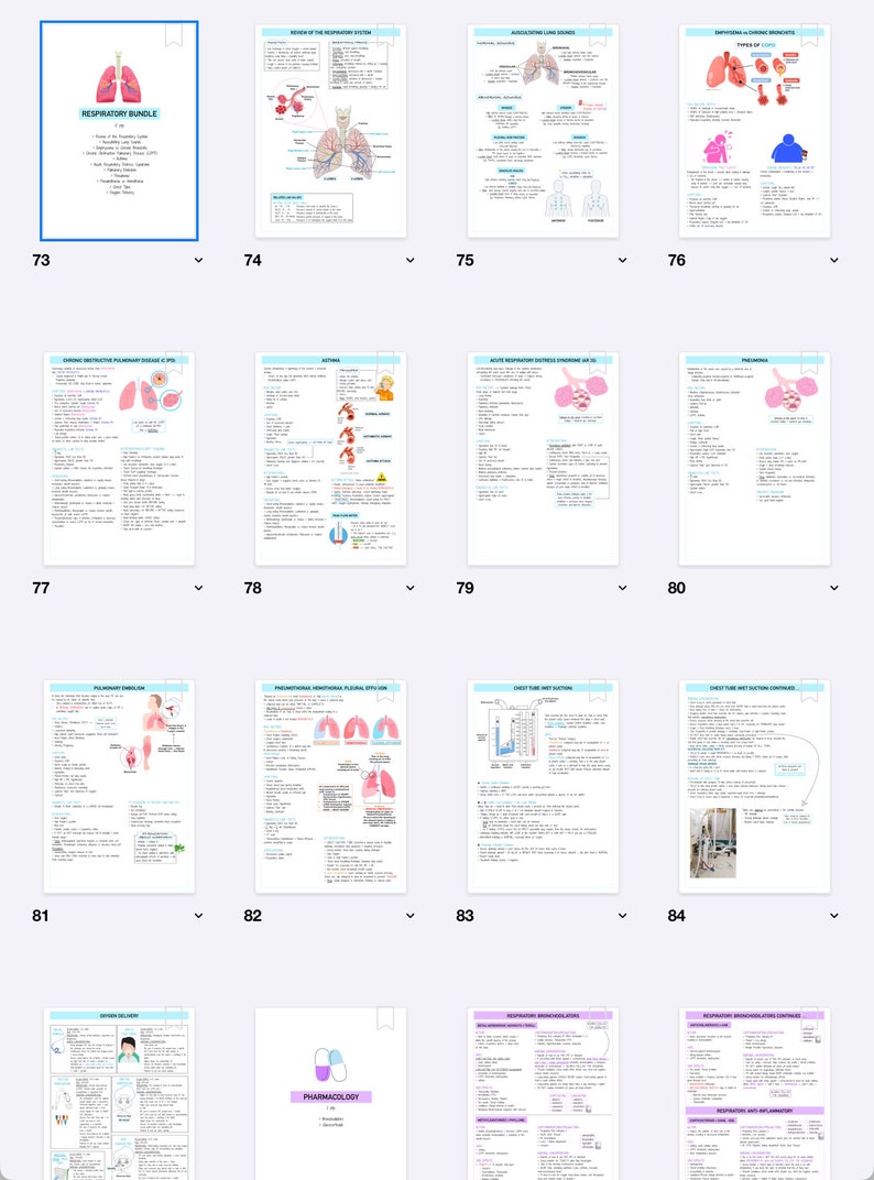 Respiratory Notes Med Surg Bundle Pharmacology Notes - Etsy