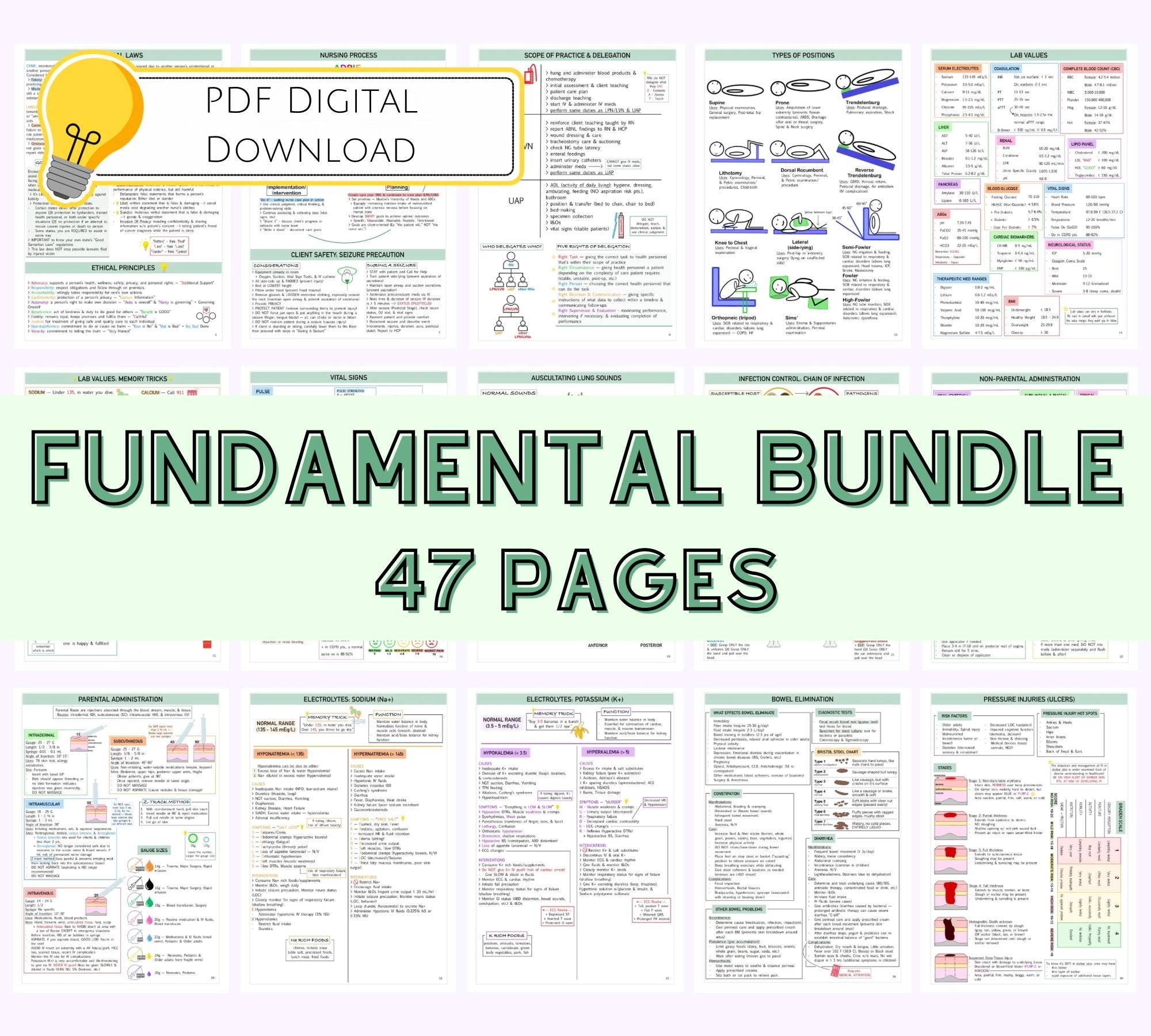 Fundamental of Nursing, Fundamental Bundle Notes, Nursing Notes ...