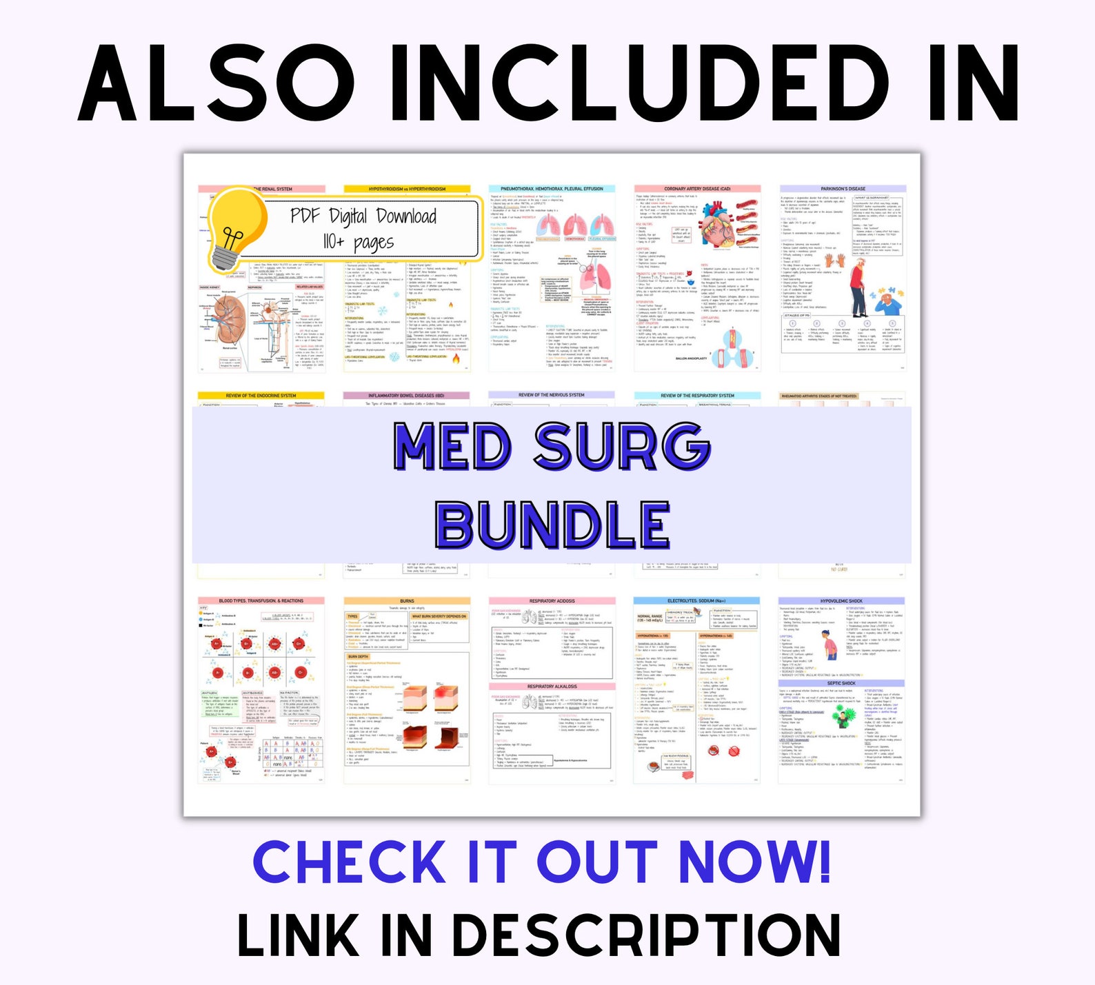 Cardiac Bundle Notes Nursing Study Guide Med Surg Notes - Etsy