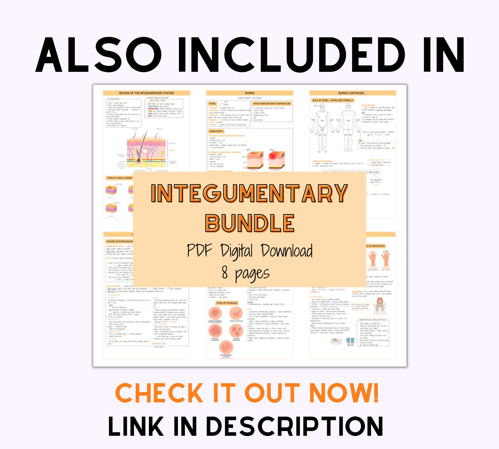 Burns Nursing Notes, Integumentary System, Burn Notes, Nursing Study ...