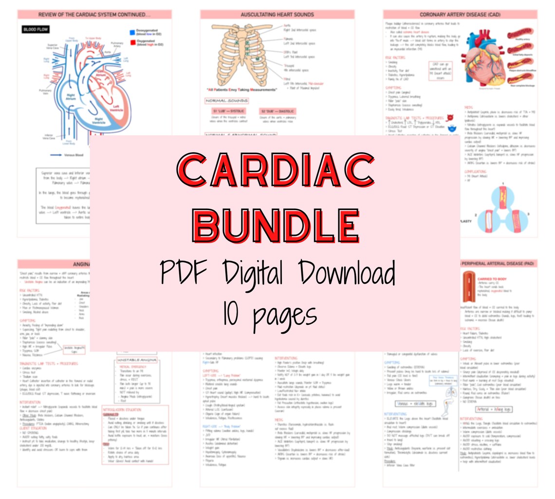 Med Surg Bundle Med Surg Study Guide Bundle Nursing Notes - Etsy