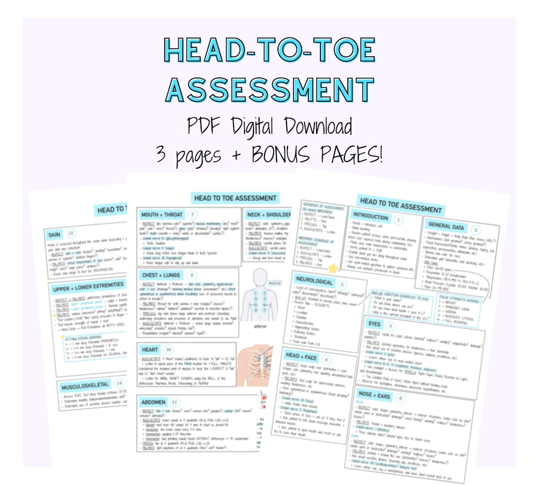 Head to Toe Assessment Guide Nursing Notes Clinical Notes - Etsy