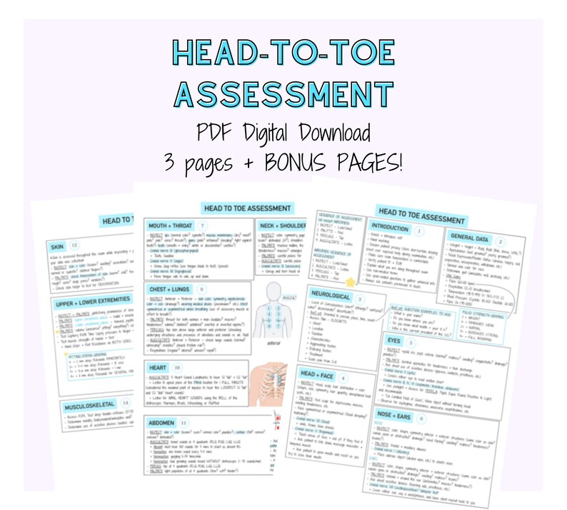 Head to Toe Assessment Guide Nursing Notes Clinical Notes - Etsy