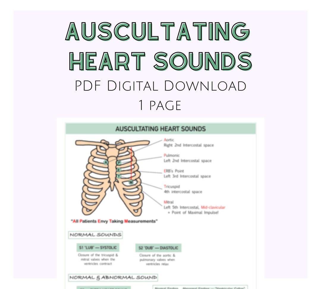 Auscultating Heart Sounds, Nursing Notes, Fundamental of Nursing ...