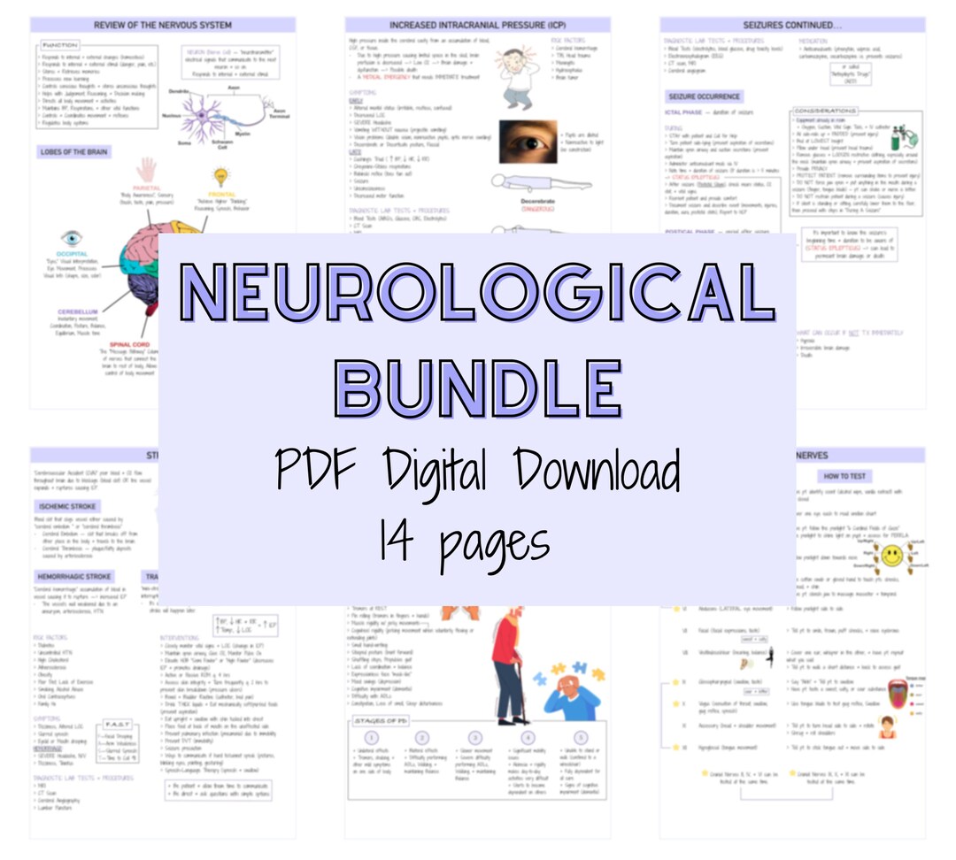 Neurological Bundle Neuro Bundle Notes Med Surg Notes - Etsy