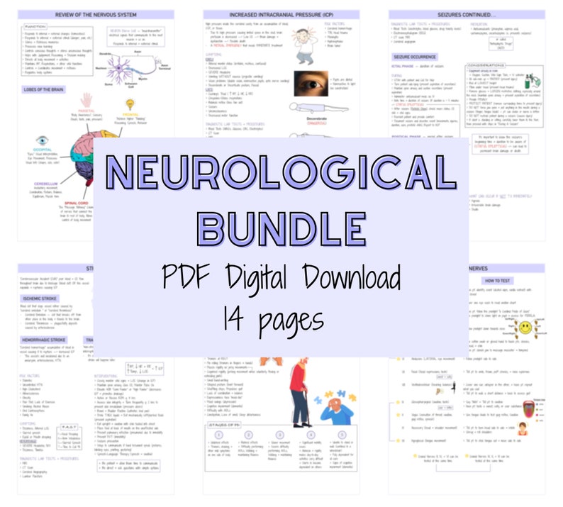 Neurological Bundle Neuro Bundle Notes Med Surg Notes - Etsy