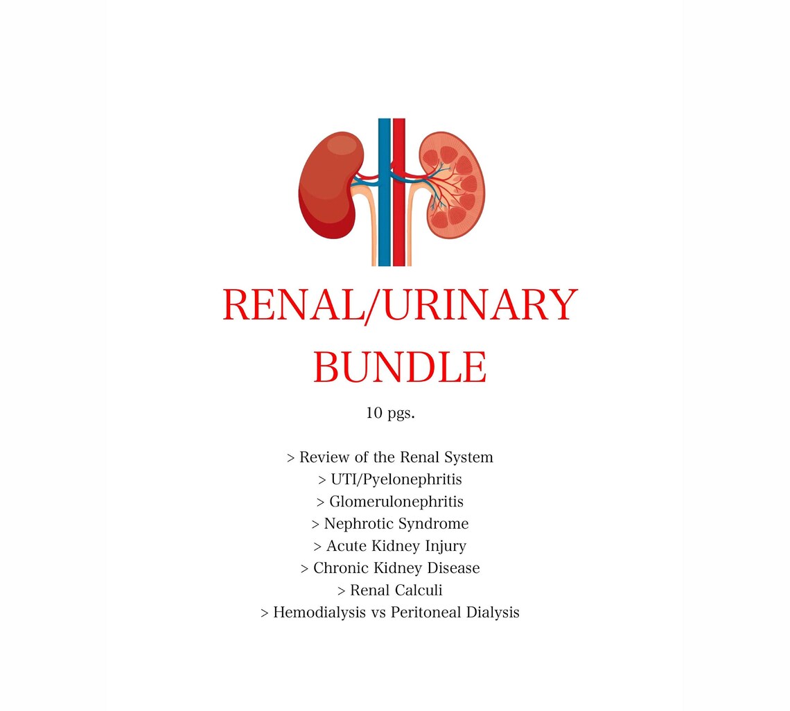 Renal/urinary System & Diseases Nursing Study Guides Nursing | Etsy