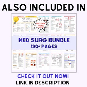 Renal/urinary System & Diseases, Nursing Study Guides, Nursing Notes ...