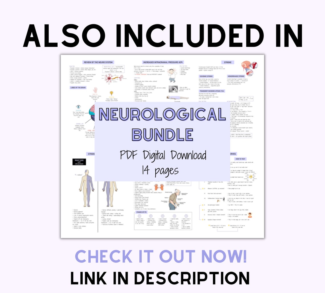 Cranial Nerves Neurological Nursing Notes Nursing Study - Etsy