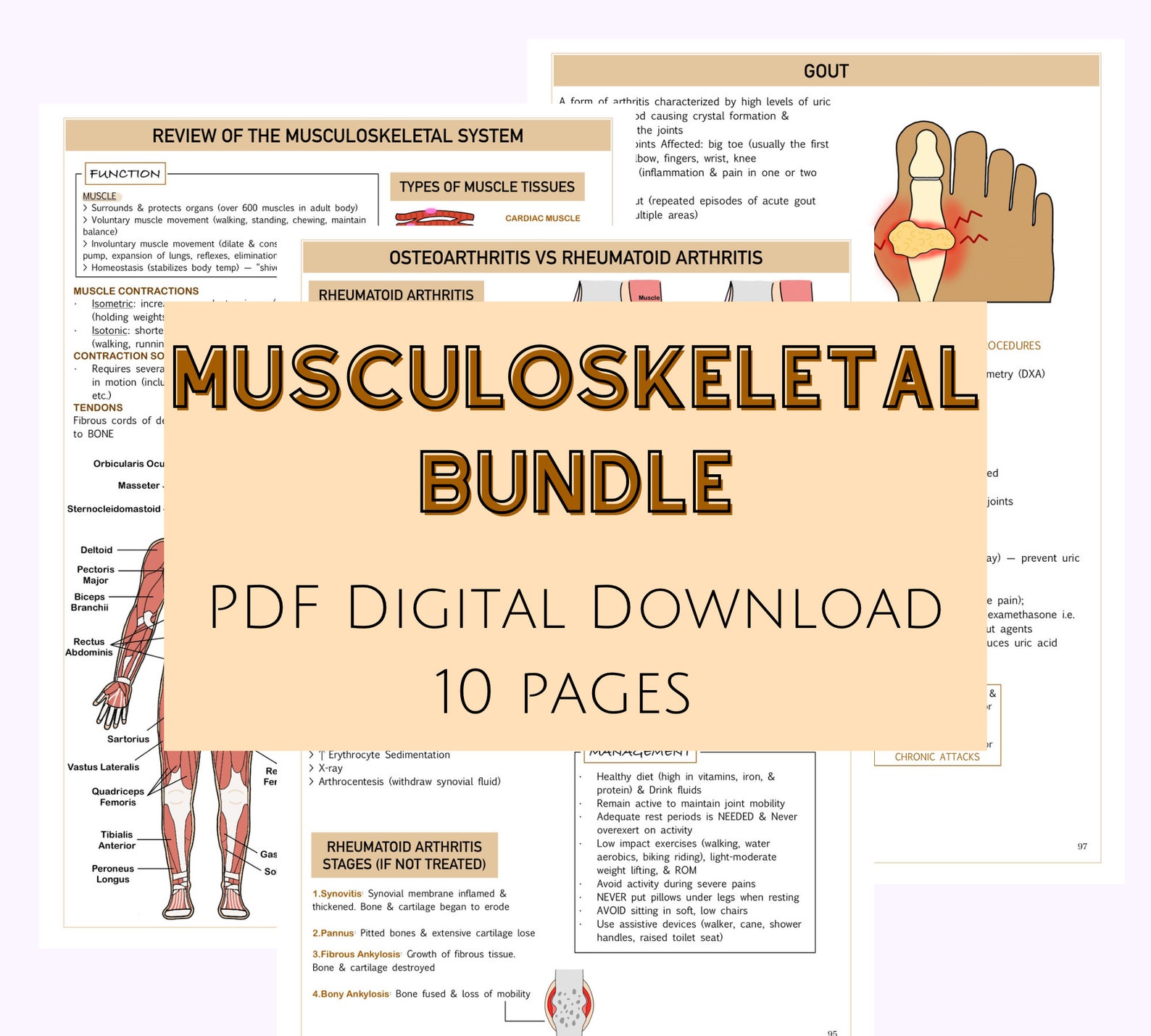 Musculoskeletal Bundle, Musculoskeletal Disorders, Med Surg Bundle, Med ...