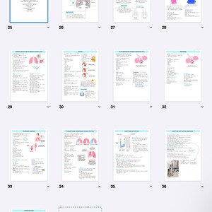 Respiratory System and Disease Med Surg Med Surg Nursing - Etsy