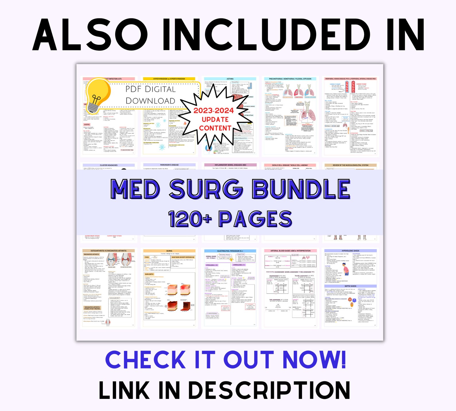 Integumentary Bundle, Skin Disorders, Burn Notes, Med Surg Bundle ...